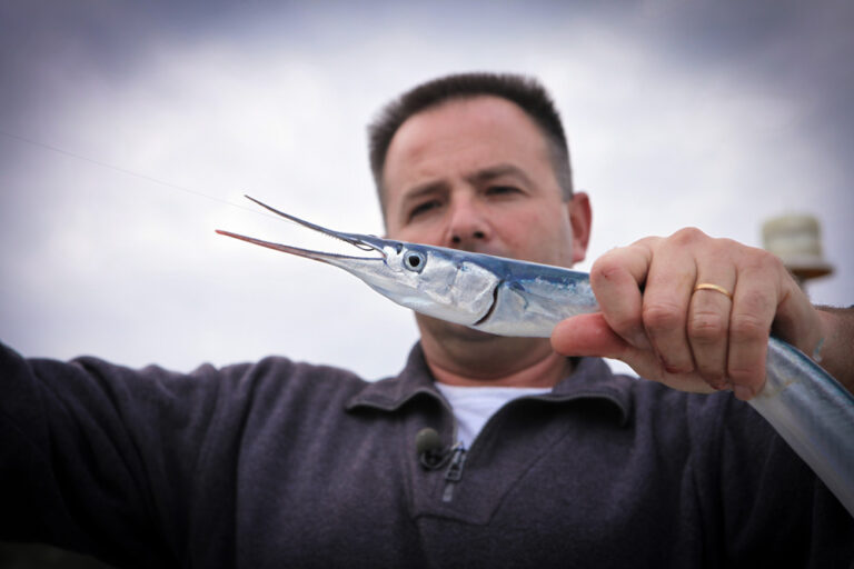 USTA, ŽDRIJELA I RALJE – Na udici