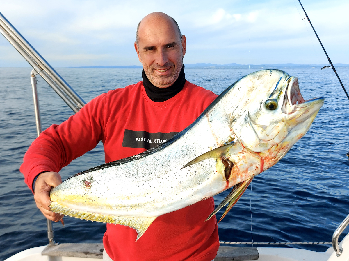 GULPOM NA LAMPUGU – Na udici