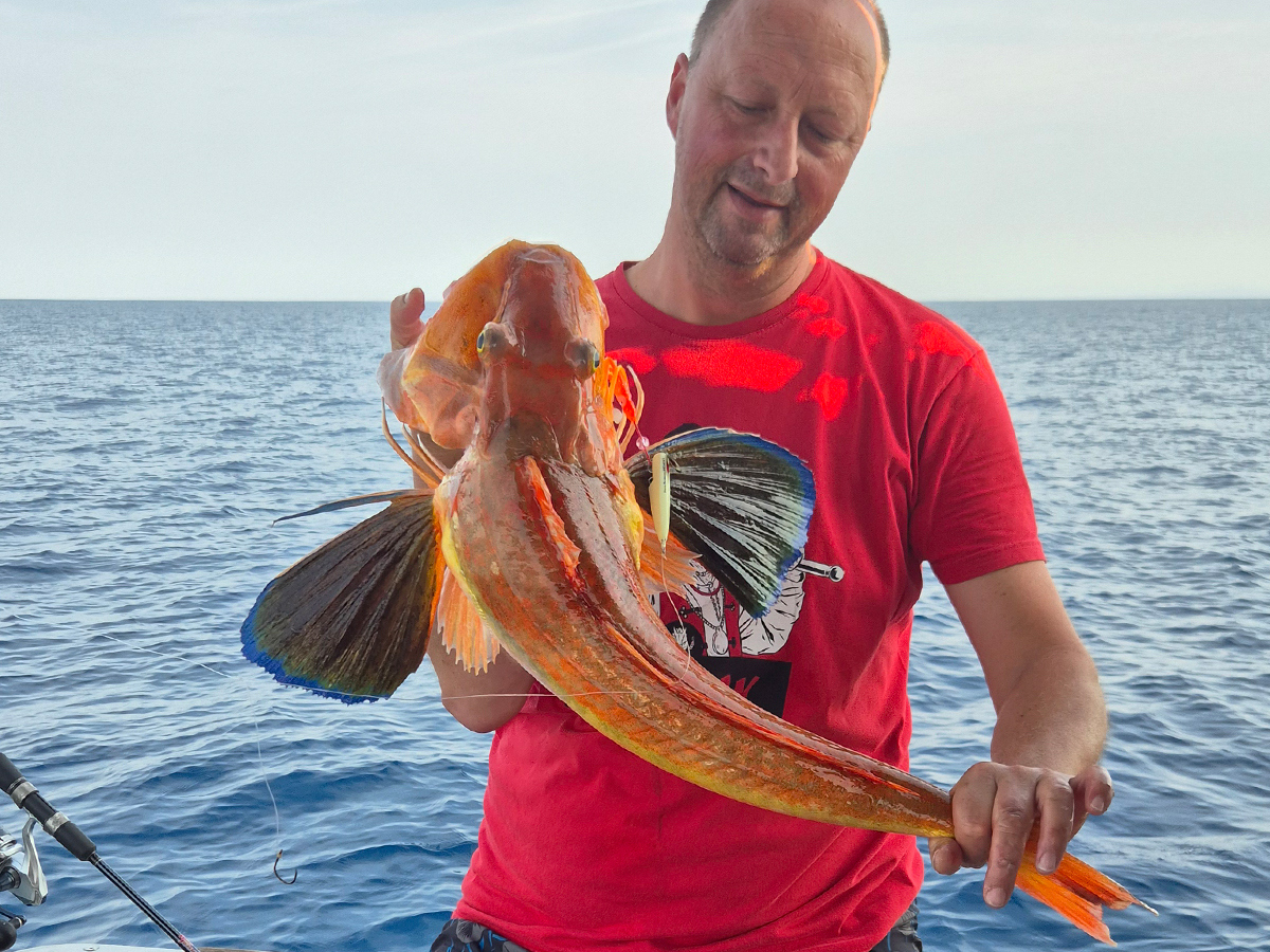 KOKOT NAMISTO KRUNAŠA – Na udici